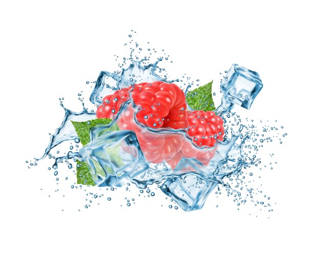 Raspberry Royalty Free Vector Image - VectorStock