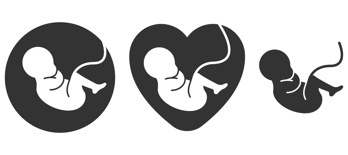Fetus Vector Images (over 7,800)