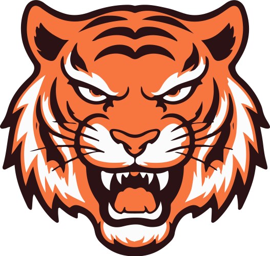 Tiger color Royalty Free Vector Image - VectorStock