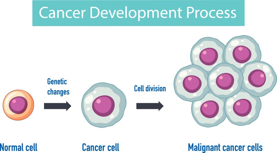 Cancer Cell Cartoon Vector Images (over 2,400)