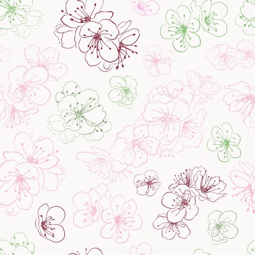 Drawing cherry blossoms Royalty Free Vector Image