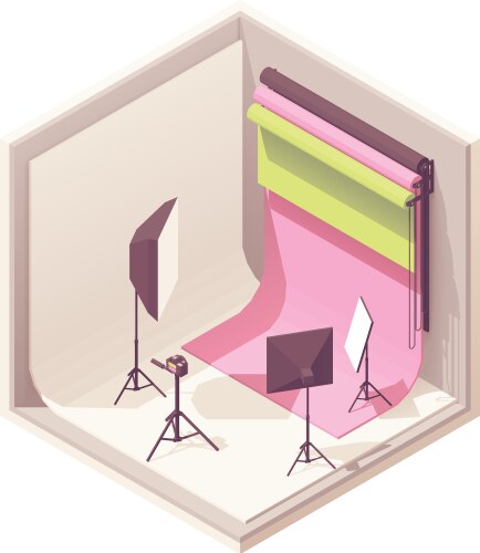 Photography studio photo backdrop and spotlight Vector Image