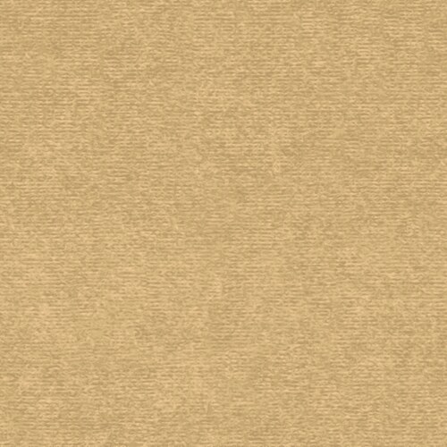 Seamless Paper Texture Cardboard Background Stock Photo Cardboard