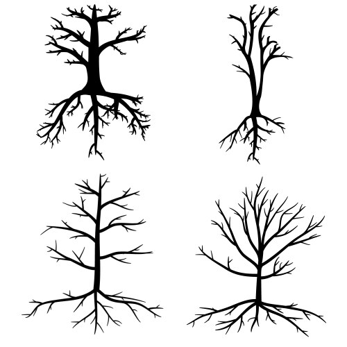 Tree and plant underground roots set Royalty Free Vector