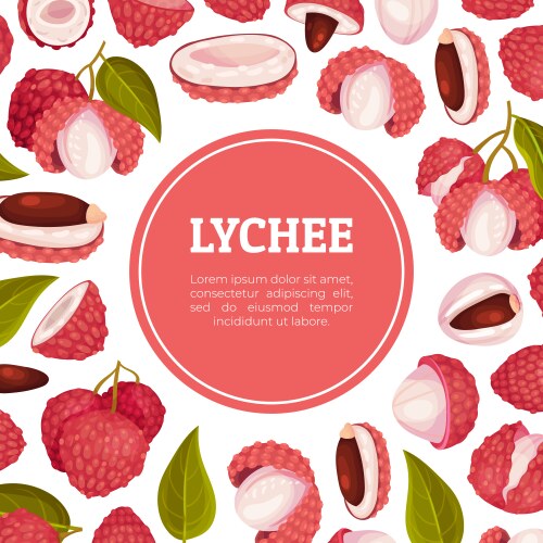 Lychee tropical fruit banner design with raw juicy