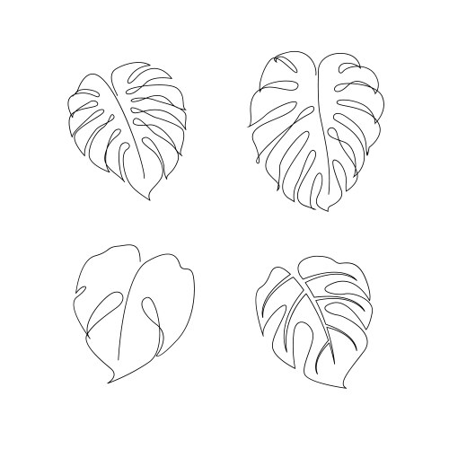 Monstera Outline Vector Images (over 3,500)