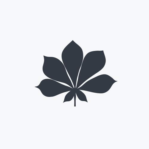 Chestnut flower on white Royalty Free Vector Image