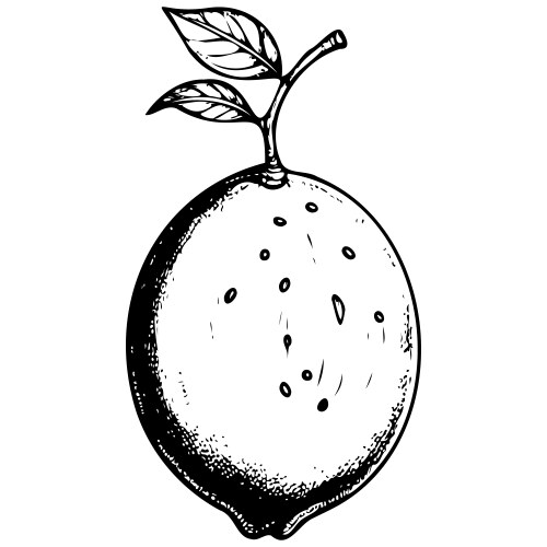 Lemon Vector Images (over 140,000)