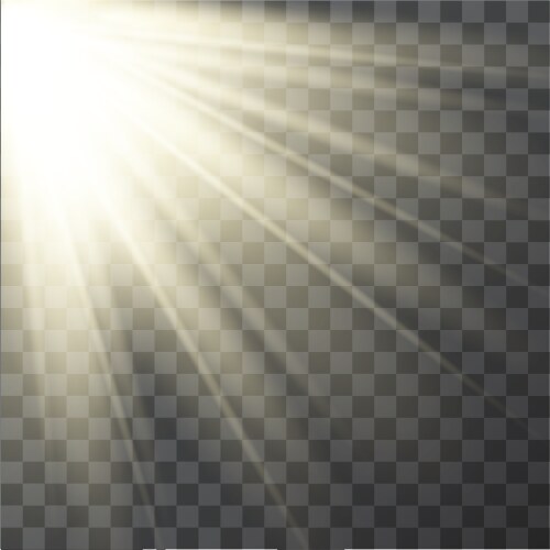 Glowing light stars with sparkles – Royalty-Free Vector | VectorStock