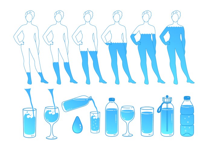 Set of water balance Royalty Free Vector Image