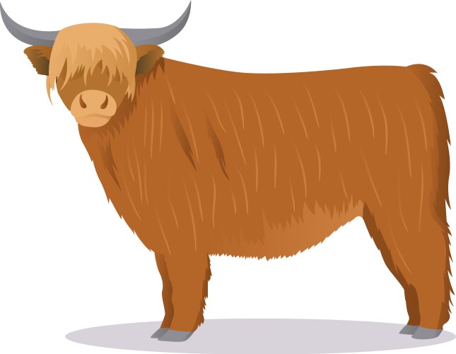 Highland Cow Vector Images (over 900)