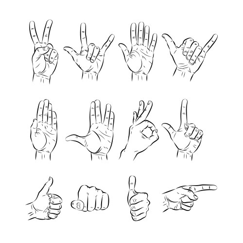 Hand gestures human palms and wrist showing Vector Image