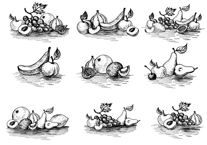 Fruits Drawing Vector Images (over 150,000)