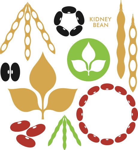 Groovy kidney bean superhero character in bandana Vector Image
