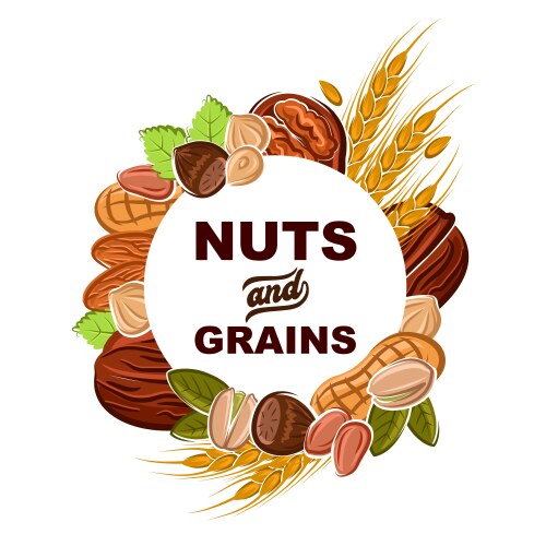 Logo for nuts Royalty Free Vector Image - VectorStock