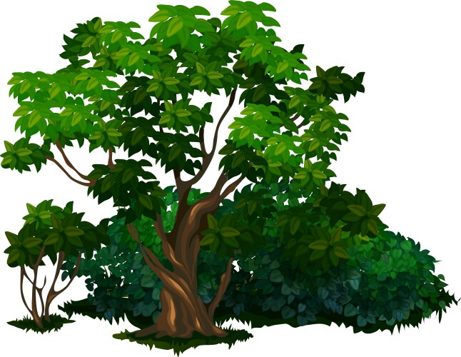 Chestnut tree Royalty Free Vector Image - VectorStock