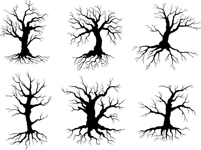 Set tree roots outline plant Royalty Free Vector Image