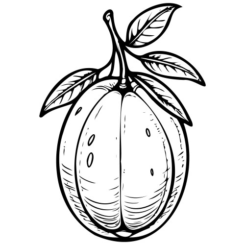 Early gold mango isolated hand drawn fruit Vector Image