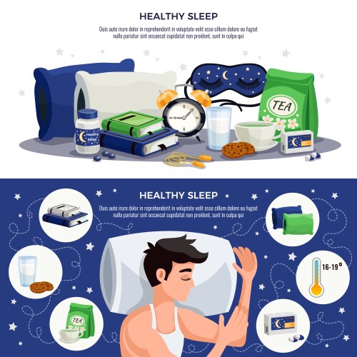 Cartoon rules of healthy sleep infographics Vector Image
