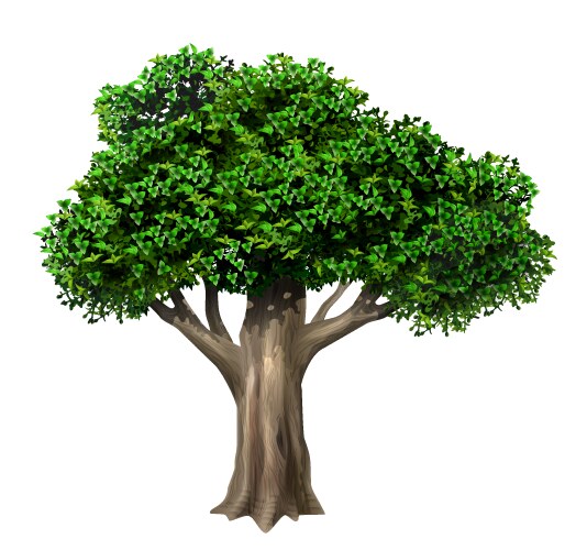 Oak Tree Vector Images (over 58,000)