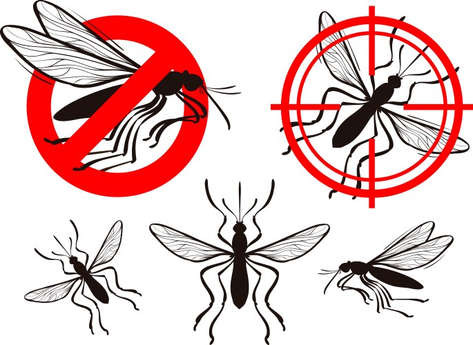 Mosquito and pest control banner Royalty Free Vector Image