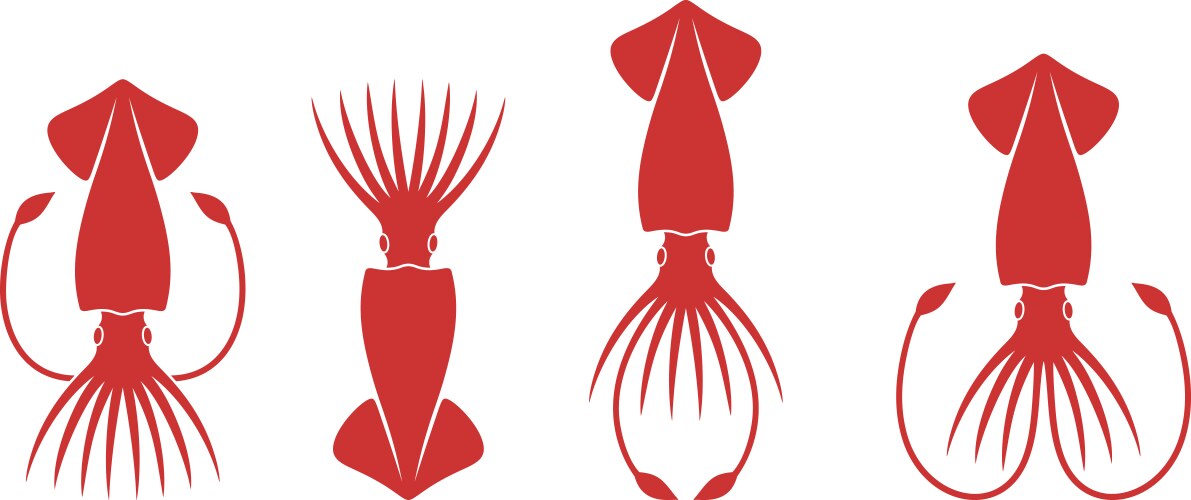 Squid Royalty Free Vector Image - VectorStock