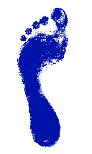 Left Footprint Vector Images (over 310)