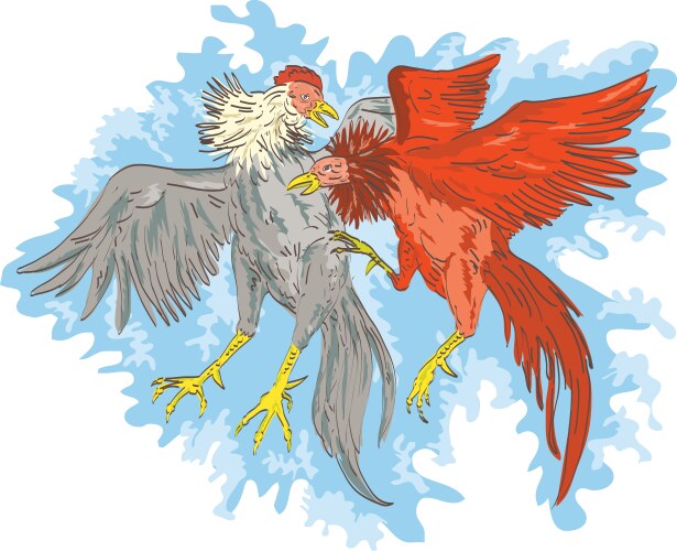 Cockfight fighting cocks Royalty Free Vector Image