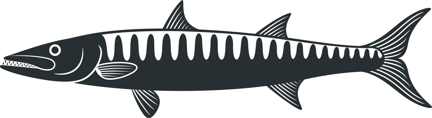 Barracuda - american fishes - logo fish Royalty Free Vector
