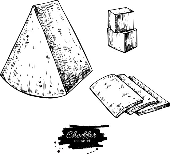 Emmental cheese drawing hand drawn food sketch Vector Image