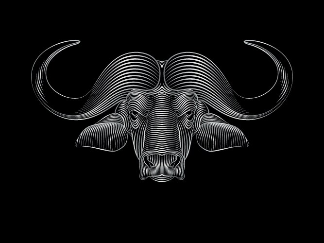 Metal Engraving Pattern Vector Images (over 1,600)