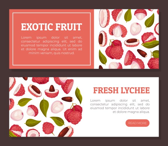 Lychee tropical fruit banner design with raw juicy