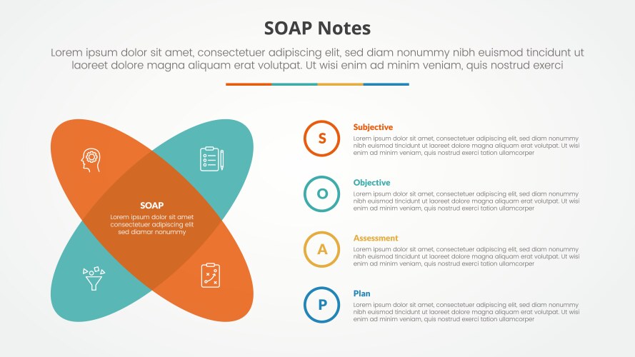 Soap note infographic concept for slide Royalty Free Vector