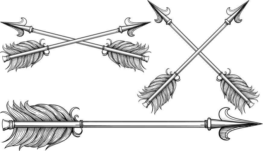 Arrow isolated on white Royalty Free Vector Image