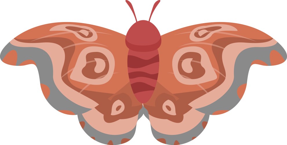 Butterfly Side View Vector Images (over 310)