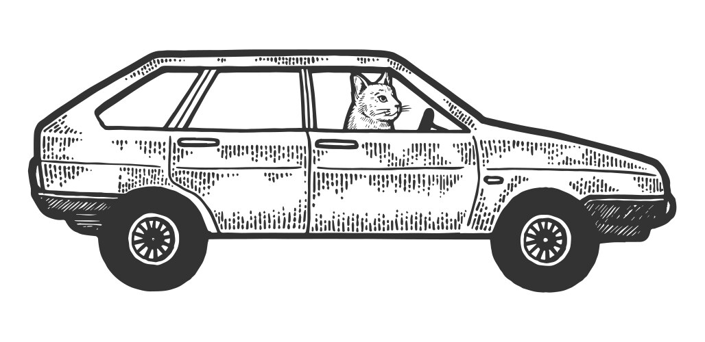 Cat Drive a Car Vector Images (over 430)