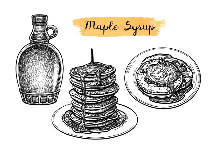 Pancakes with maple syrup Royalty Free Vector Image