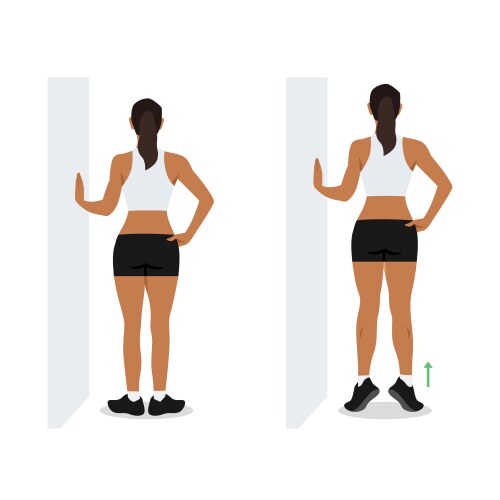External rotation or bodyweight calf raises Vector Image