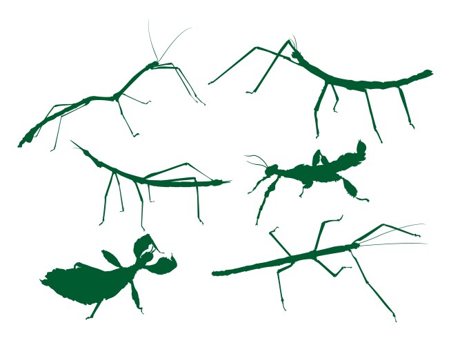 Insect Outlines Vector Images (over 56,000)