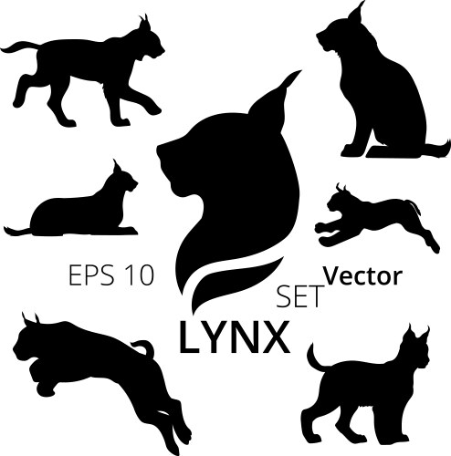 Cat Royalty Free Vector Image - VectorStock
