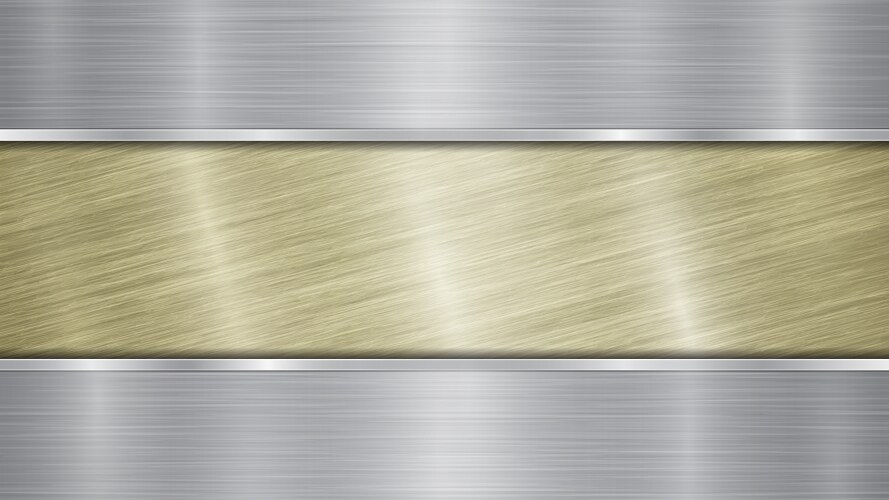Metal shield plate on brushed steel background Vector Image