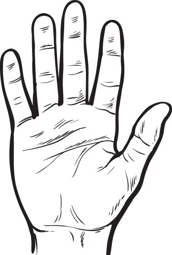 Open Hands Vector Images (over 70,000)