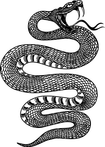 Snake Outline Vector Images (over 8,200)