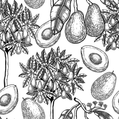 Green avocado fruits background design seamless Vector Image