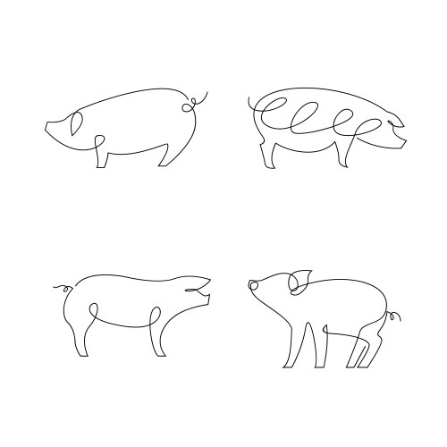 Pig single line drawing Royalty Free Vector Image