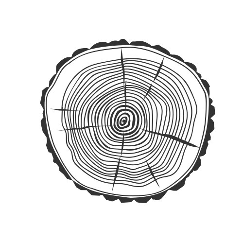 Cross section of tree stump or trunk wood cut Vector Image