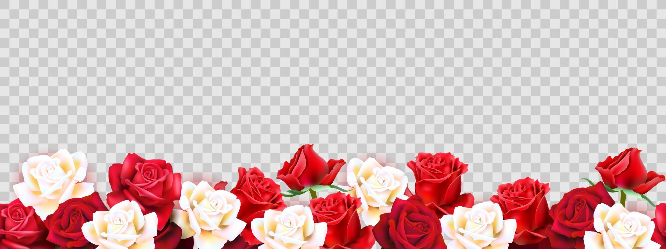 Roses Border Vector Images (over 39,000)