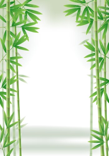 Bamboo Border Vector Images (over 2,000)