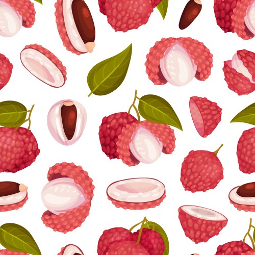 Lychee Vector Images (over 3,400)