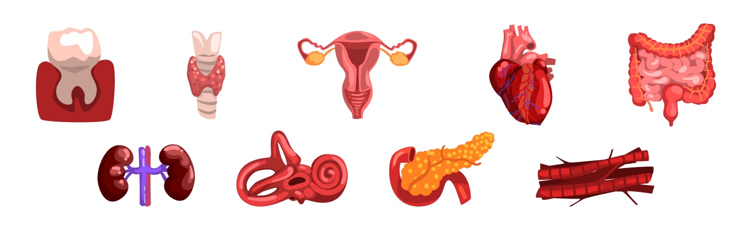 Body Part Vector Images (over 46,000)